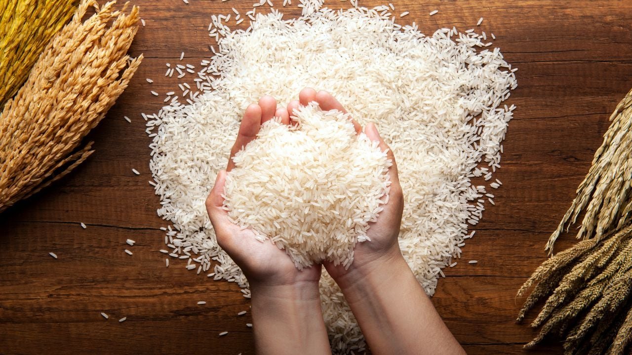 Best Basmati Rice Trader in UAE - Sunriseedible
